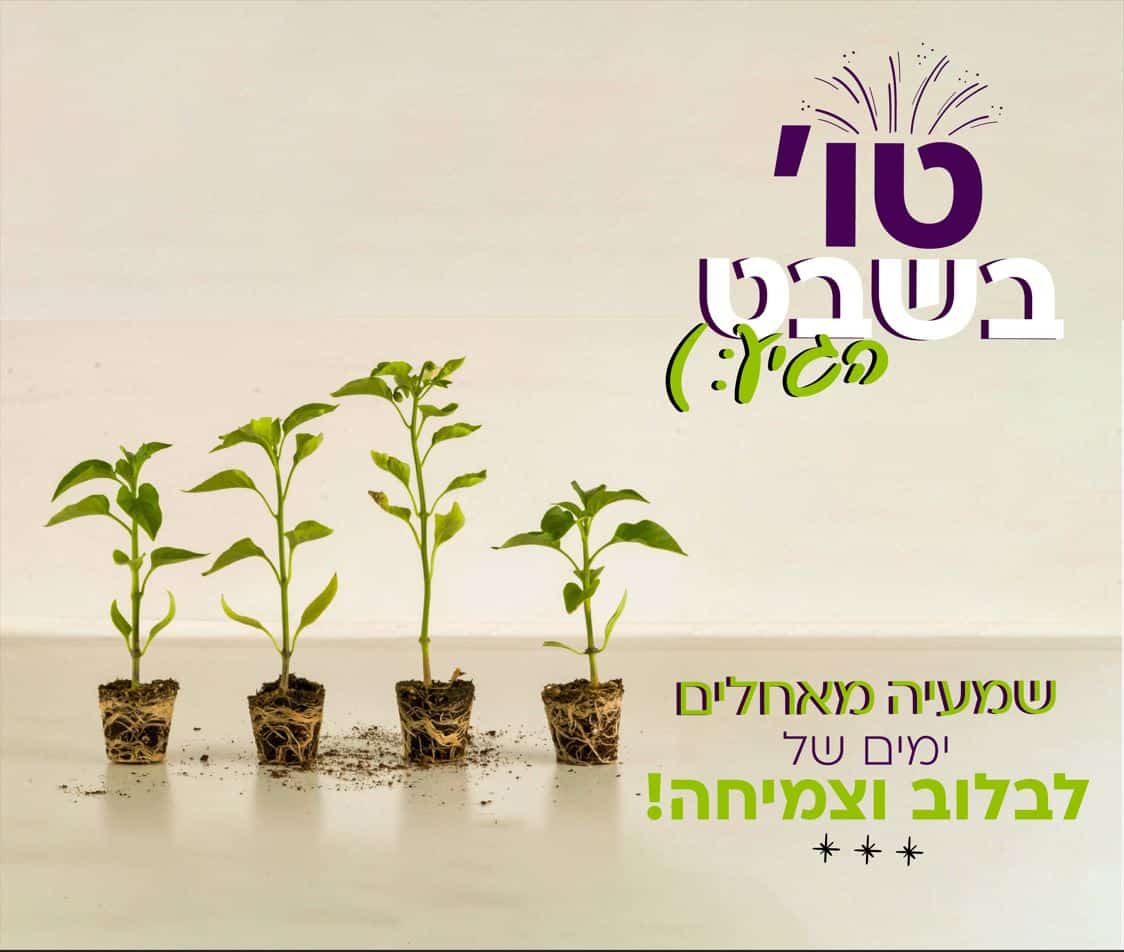 מקימים את בית שמעיה בצפון - shmaya