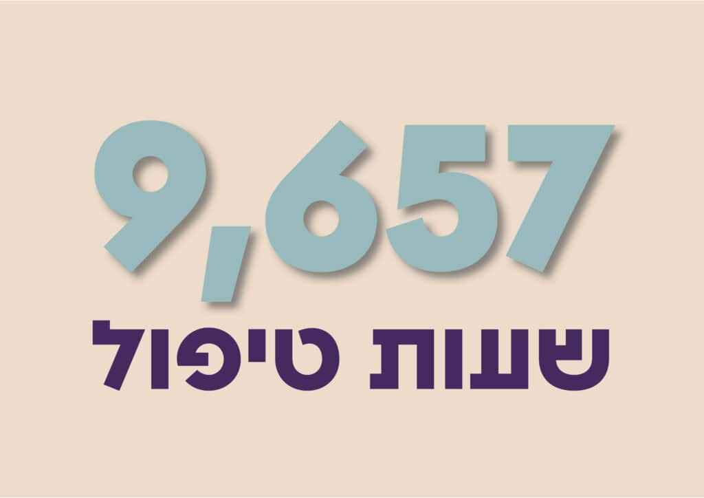 סיכום שנה 2024 - שמעיה
